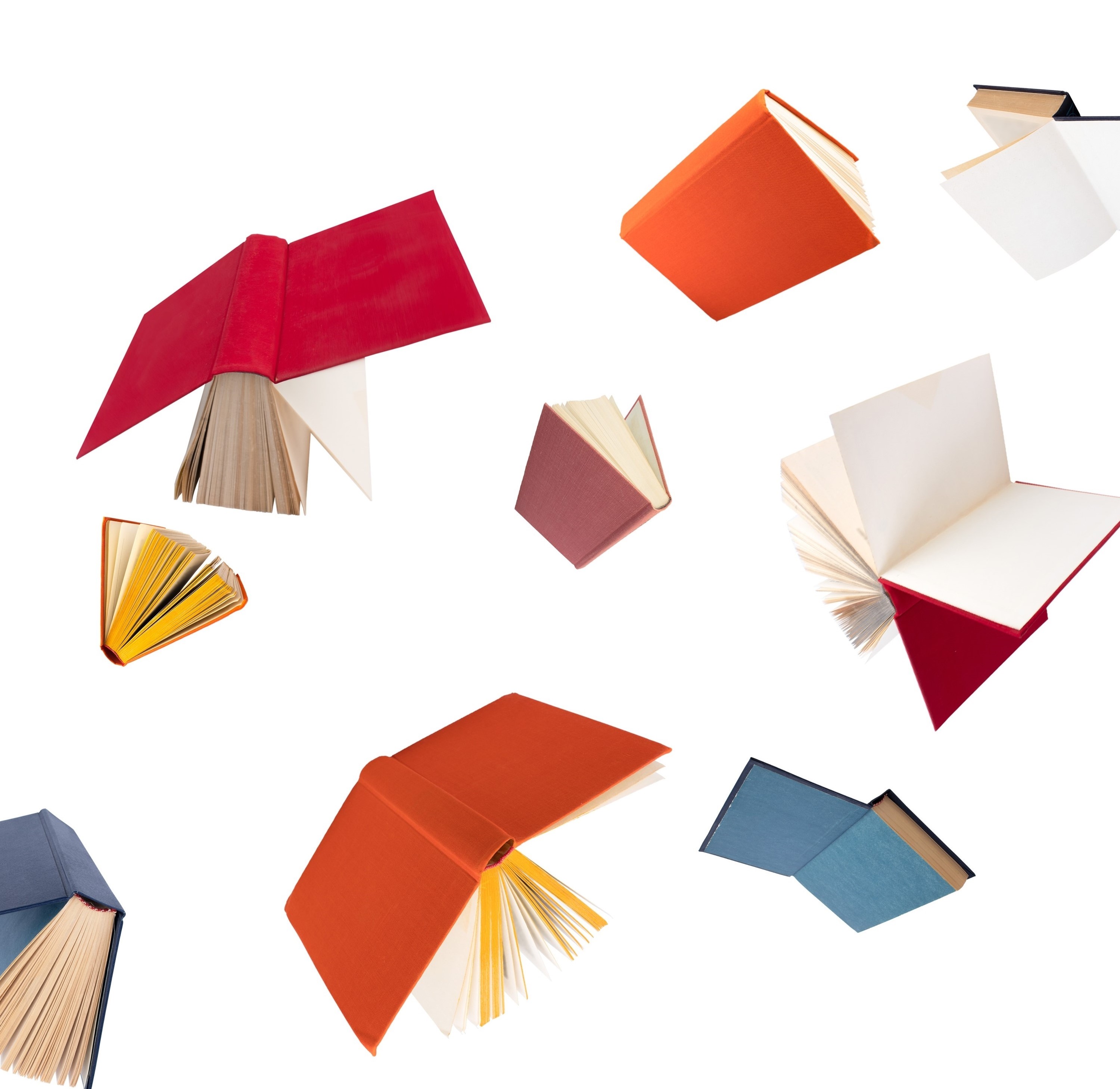 Springdale Library Branch - Brampton Public Library